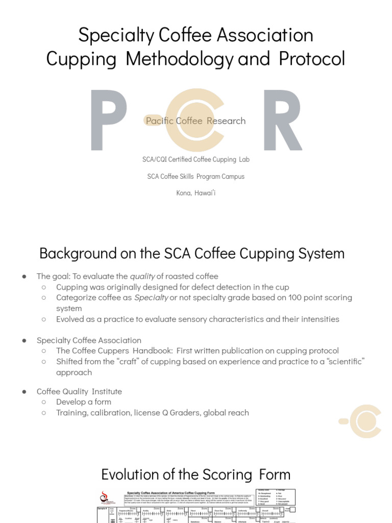 Scoring Systems - SCA Cupping - Brittany | PDF | Drink | Coffee