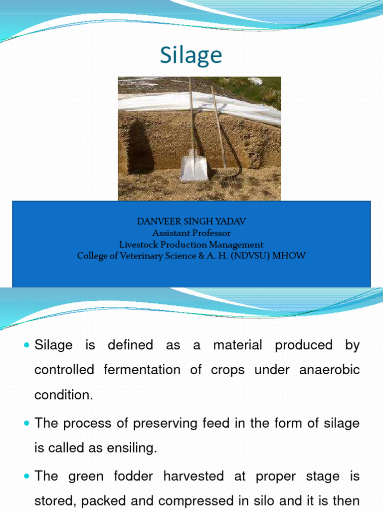 Silage | Download Free PDF | Agriculture