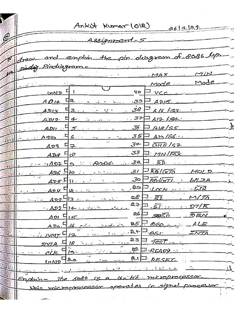 Micro Assignment 5 | PDF