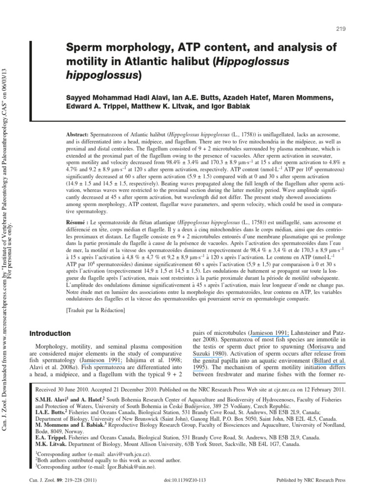 Sperm Morphology ATP Content and Analysi | PDF | Sperm