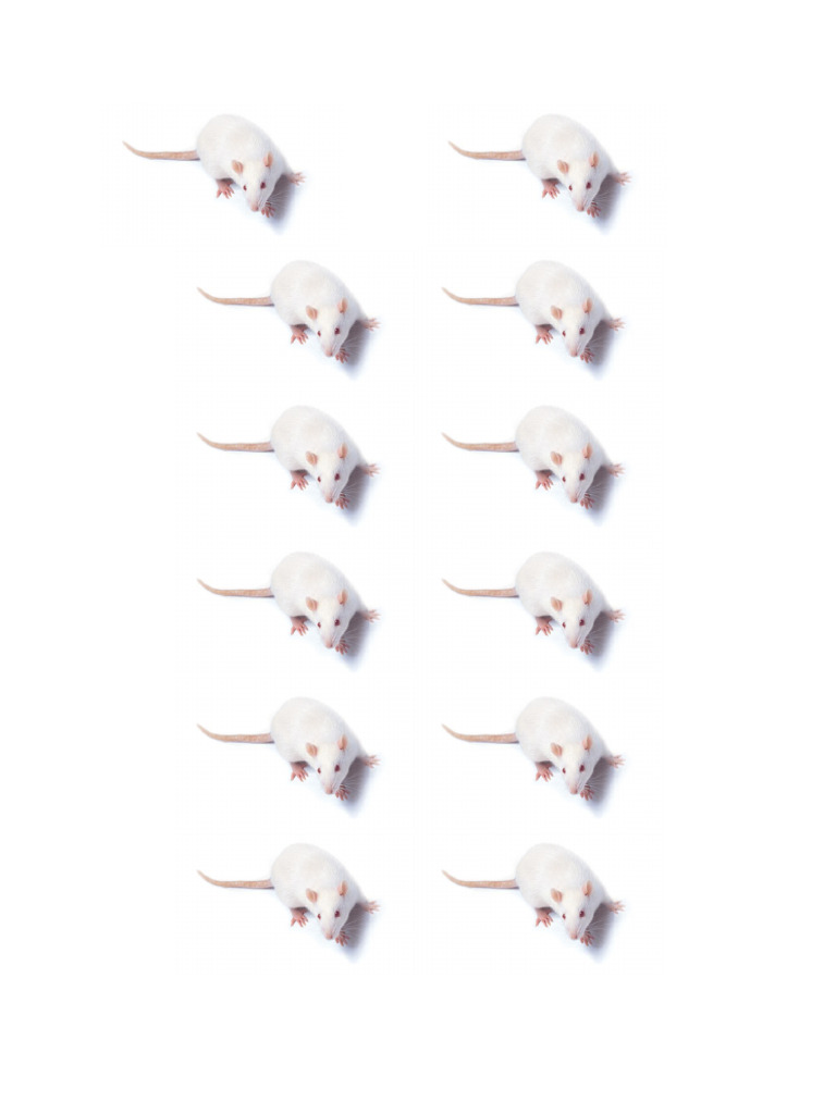 Lampiran Farkol P4 | PDF