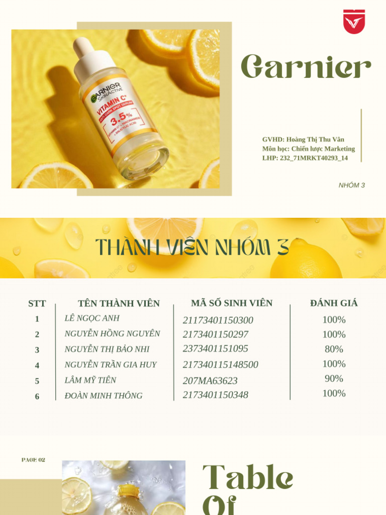 Chiến Lược Marketing 14 - Nhóm 3 - Garnier | PDF
