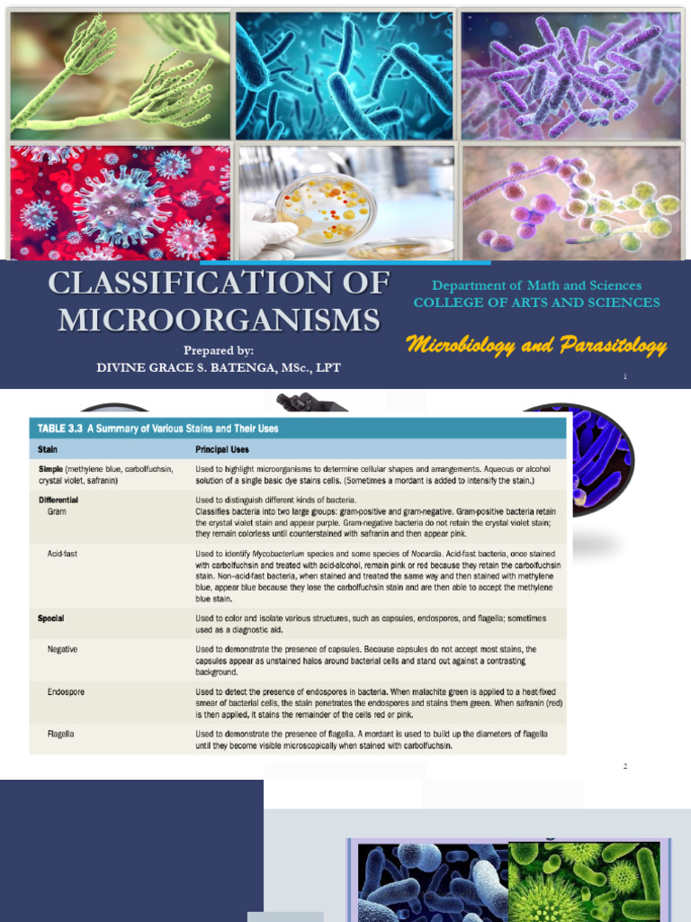 2.2classification of Microorganisms | PDF | Polymerase Chain Reaction ...