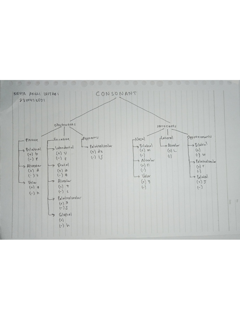 Phonology - Novia Anggi Lestari | PDF