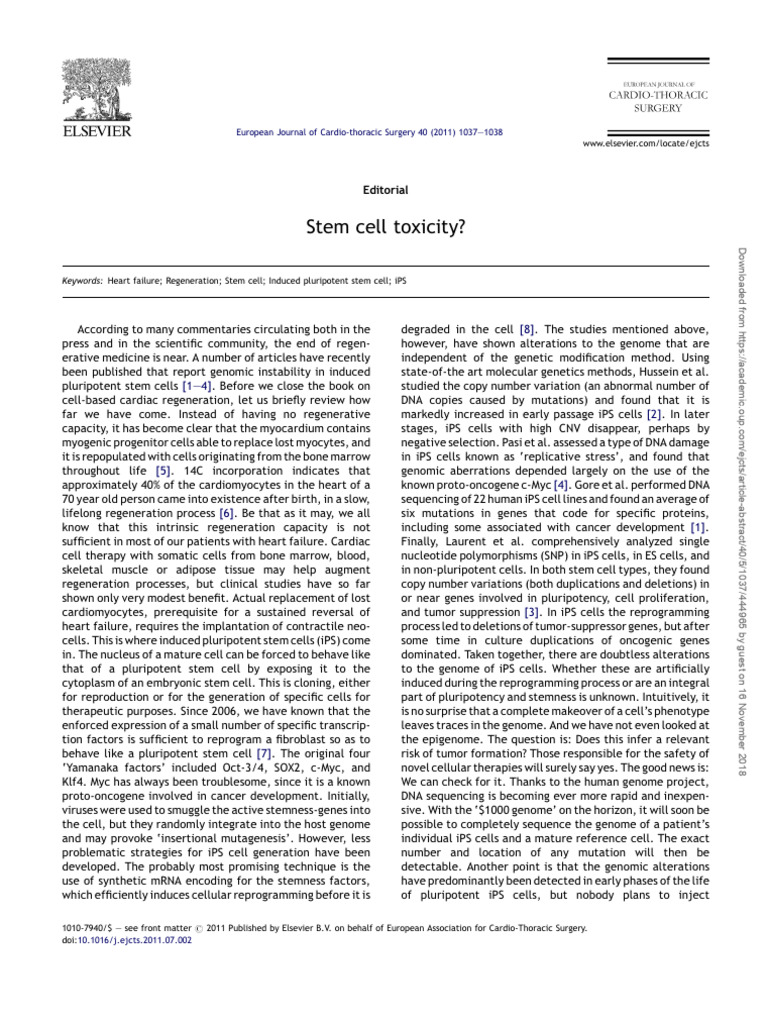 Stem Cell Toxicity? | PDF | Cell Potency | Stem Cell