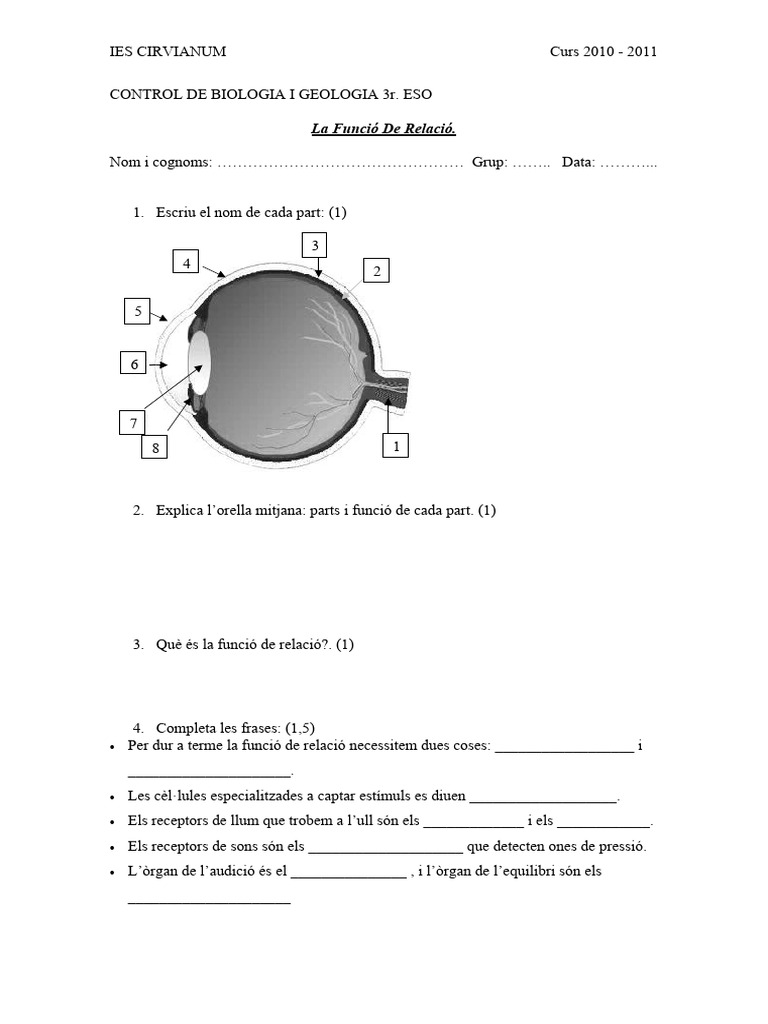 CONTROL 3r Funció de Relació | PDF