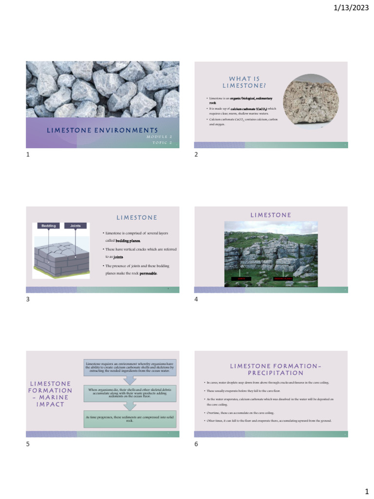 Limestone Environments - Module 2 Topic 2 Presentation | PDF ...
