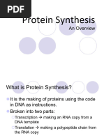 Movie Analogy for Protein Synthesis | PDF | Translation (Biology ...