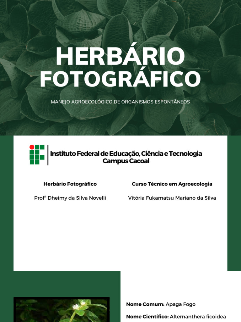 HERBÁRIO | PDF | Agroecologia | Cultivo