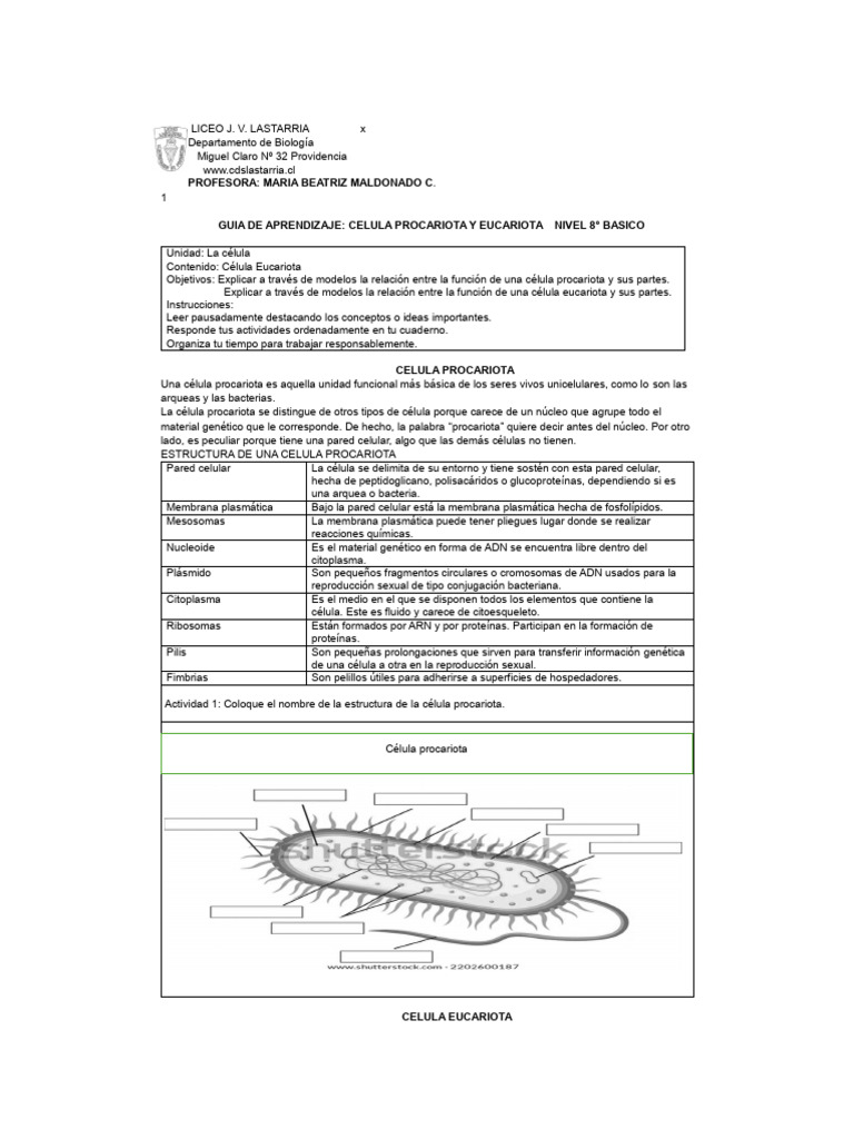 Https/doc 08 b8 Prod 03 Apps Viewer - Googleusercontent.com/viewer2/prod 03 | PDF | Biología ...
