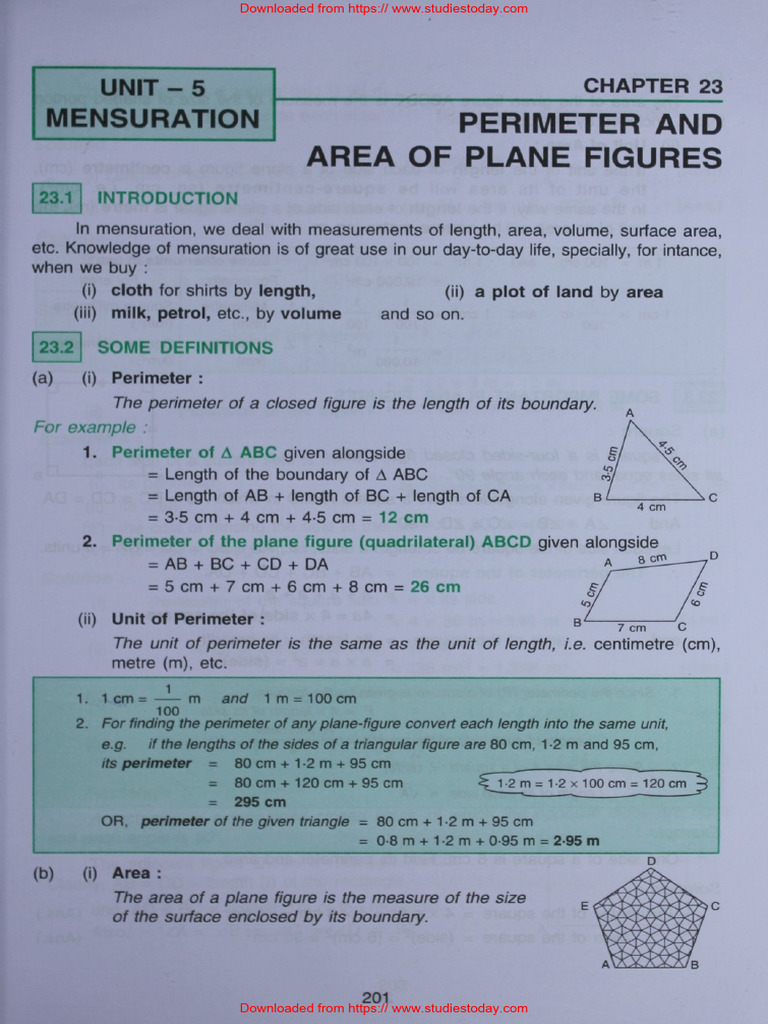 Class 6 Perimeter and Area Worksheets | PDF