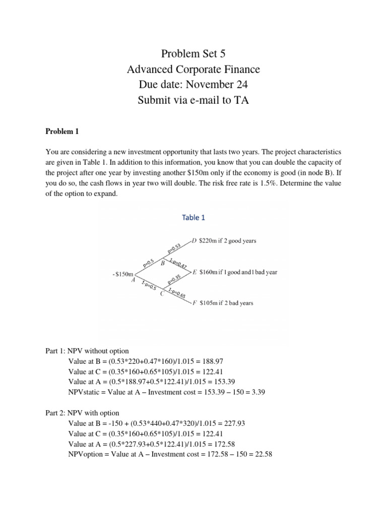 Problem Set 5 Solution-2 Copie | PDF | Net Present Value | Economics
