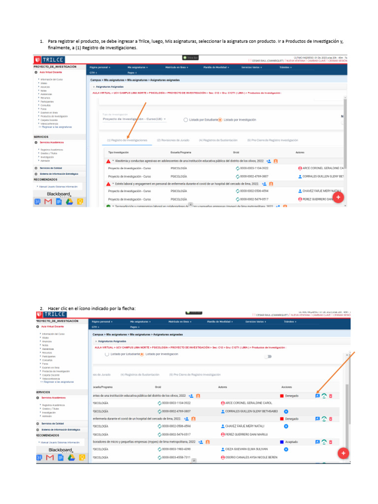 Guia para Registrar Productos en Trilce | PDF | Arte