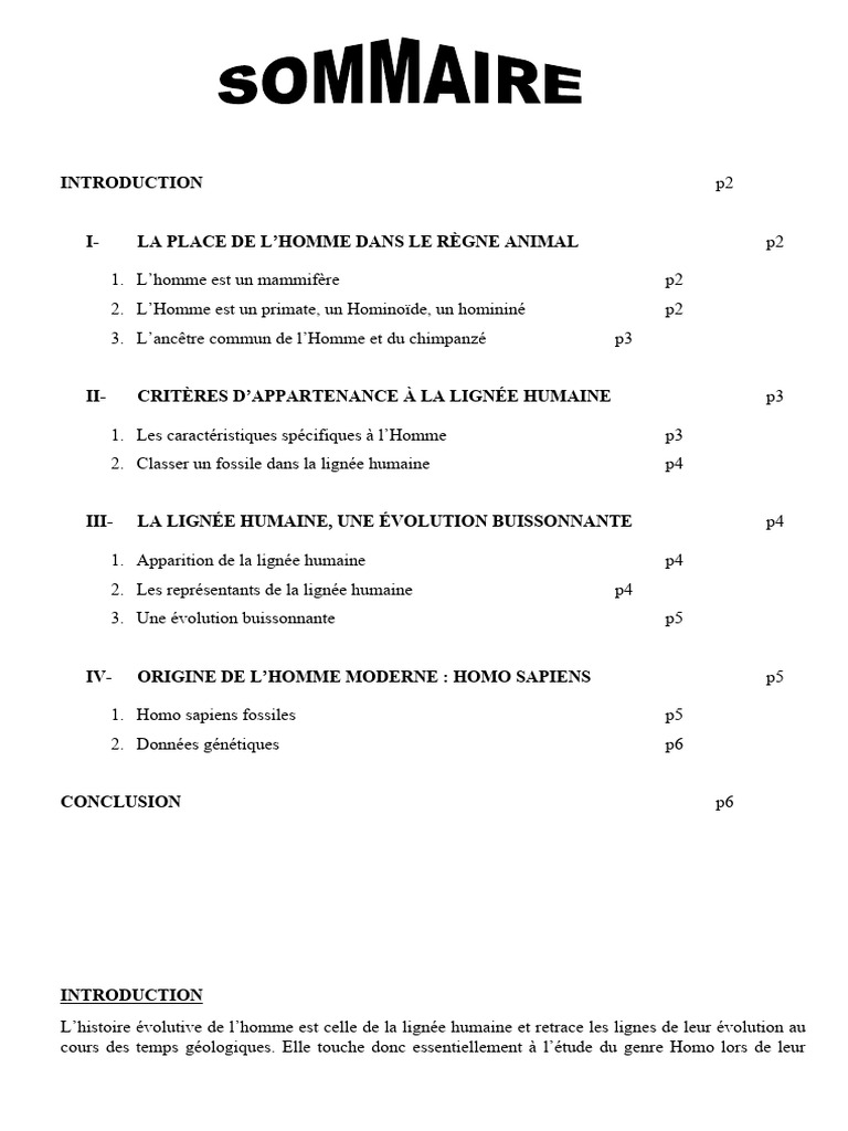 évolution De L Homme Et Lignée Humaine Pdf évolution Humaine Homo