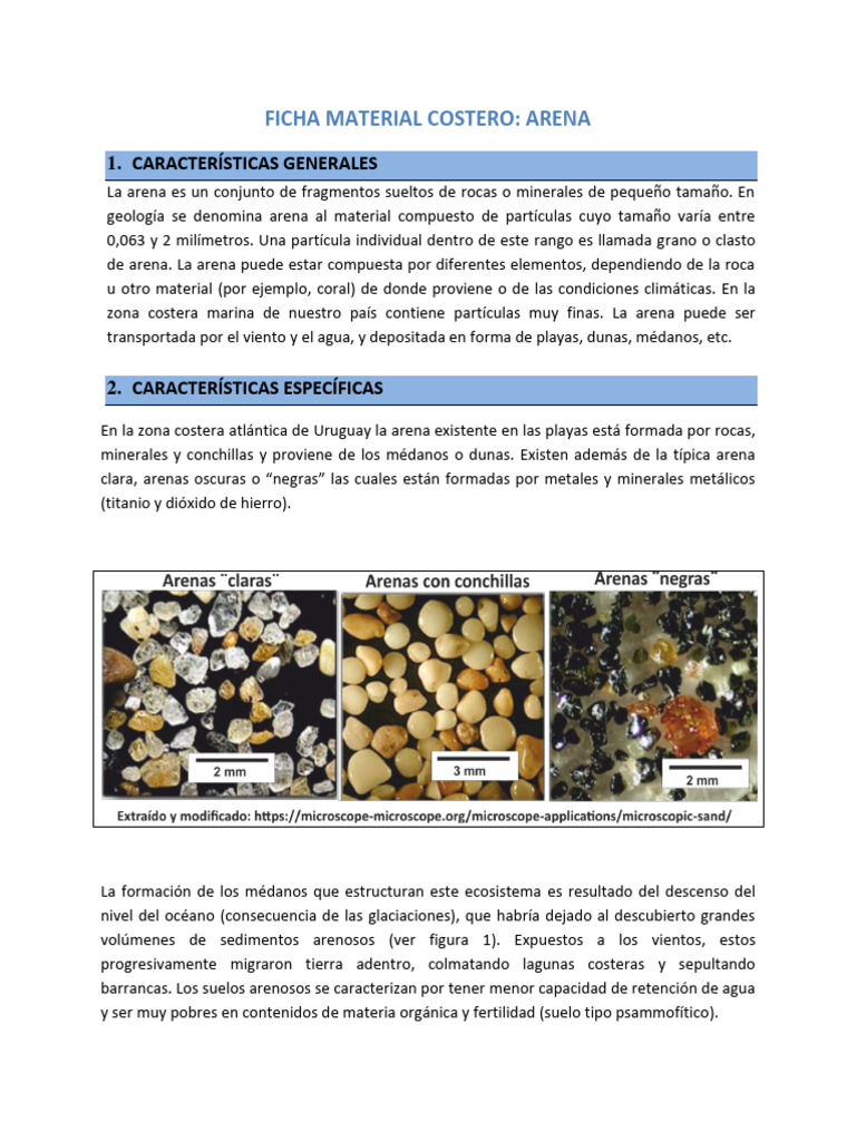 Características y Importancia de la Arena Costera | PDF | Arena | playa