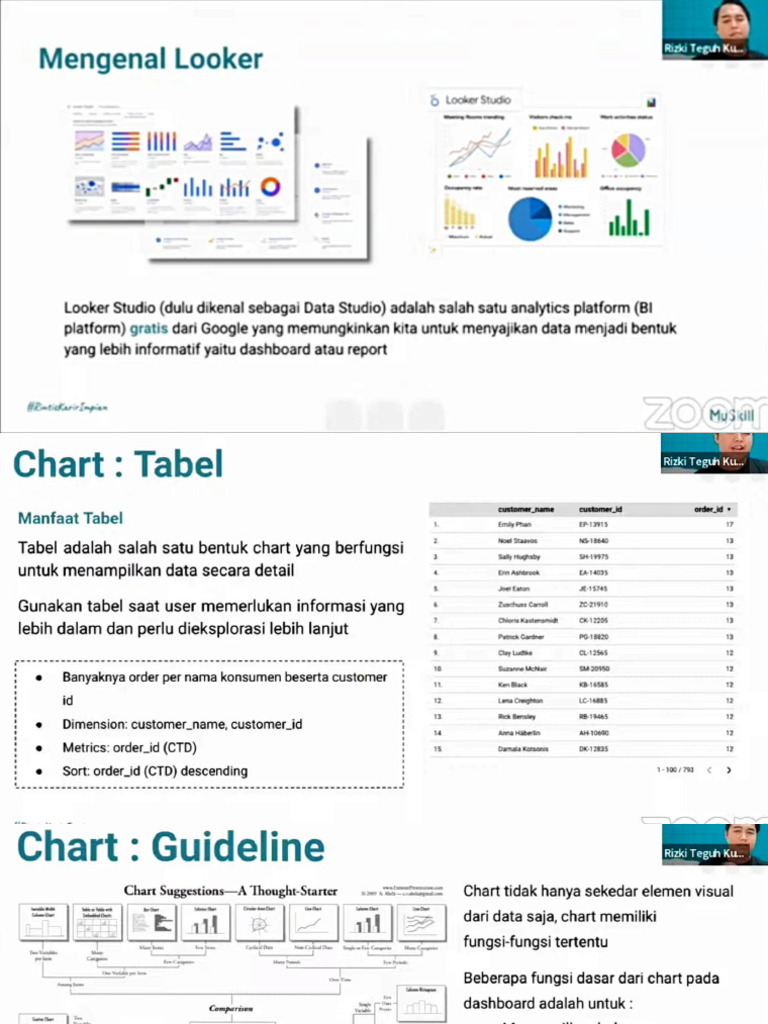 Looker Studio-Data Analyst | PDF