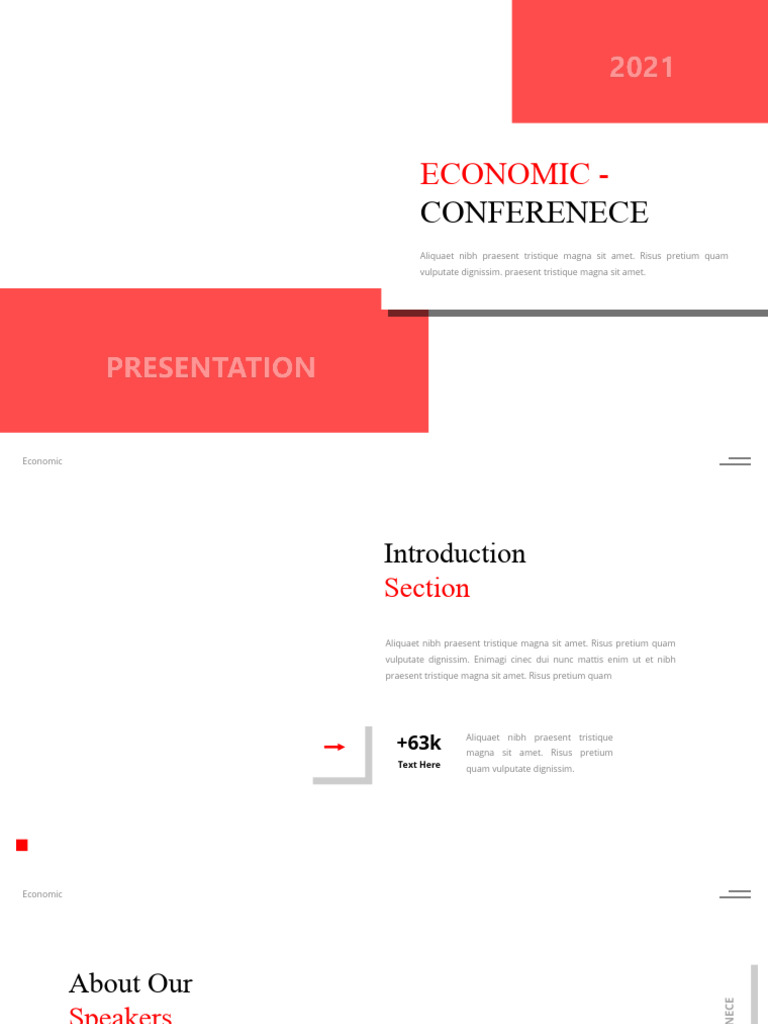 Economic Conference Presentation | PDF