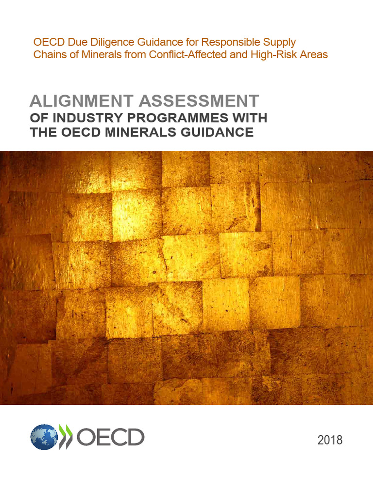Industry Programmes Alignment with OECD | PDF