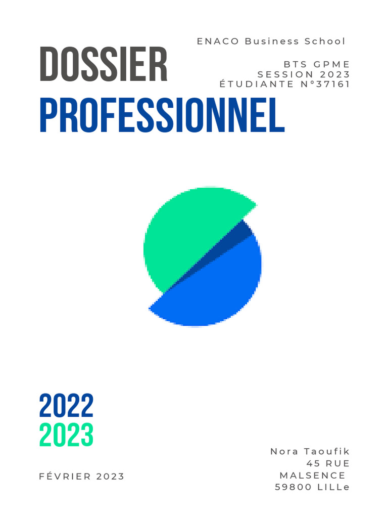 Dossier Professionnel BTS | PDF | Business