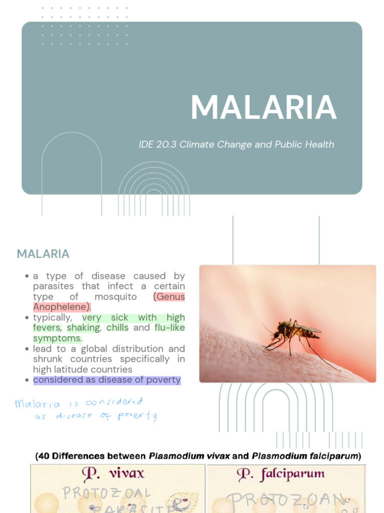 Malaria Presentation | PDF