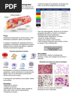 Como É Realizada A Pesquisa de Esquizocitos e Como... | PDF | Doenças e ...