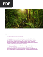 Movimientos y Tropismos en Plantas | PDF | Plantas | Botánica