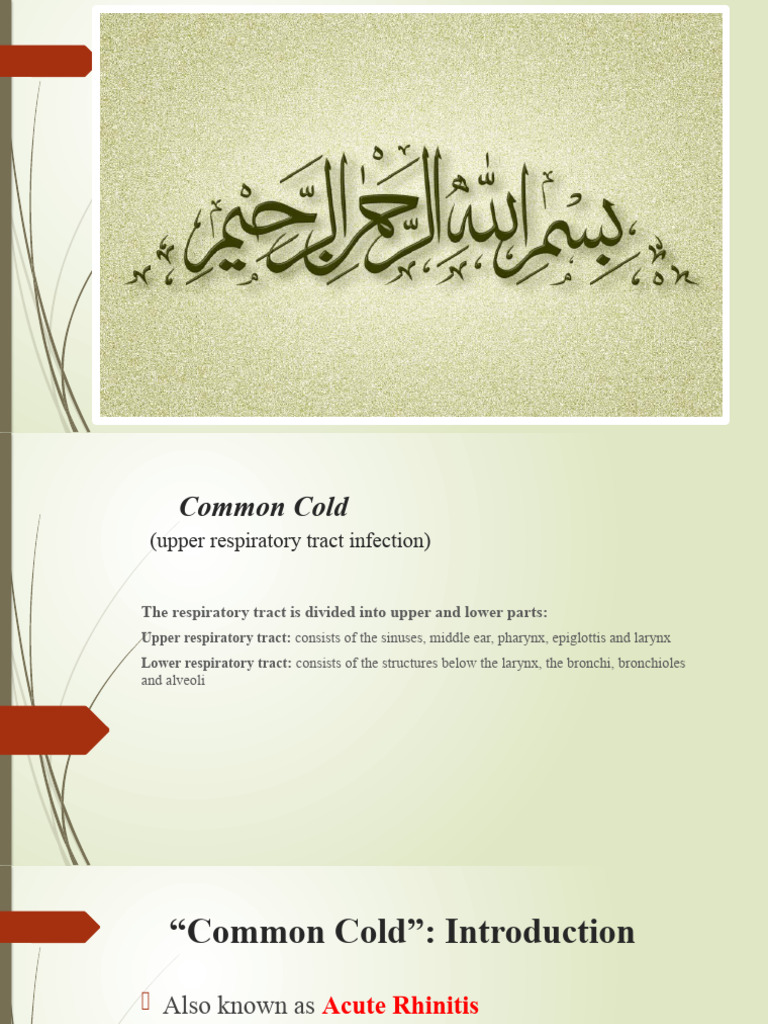 Common Cold Presentation - 2 | PDF | Common Cold | Respiratory Tract
