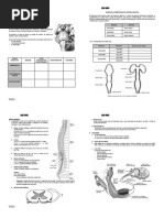Conducto Ependimario | PDF | Sistema nervioso central | Anatomía humana