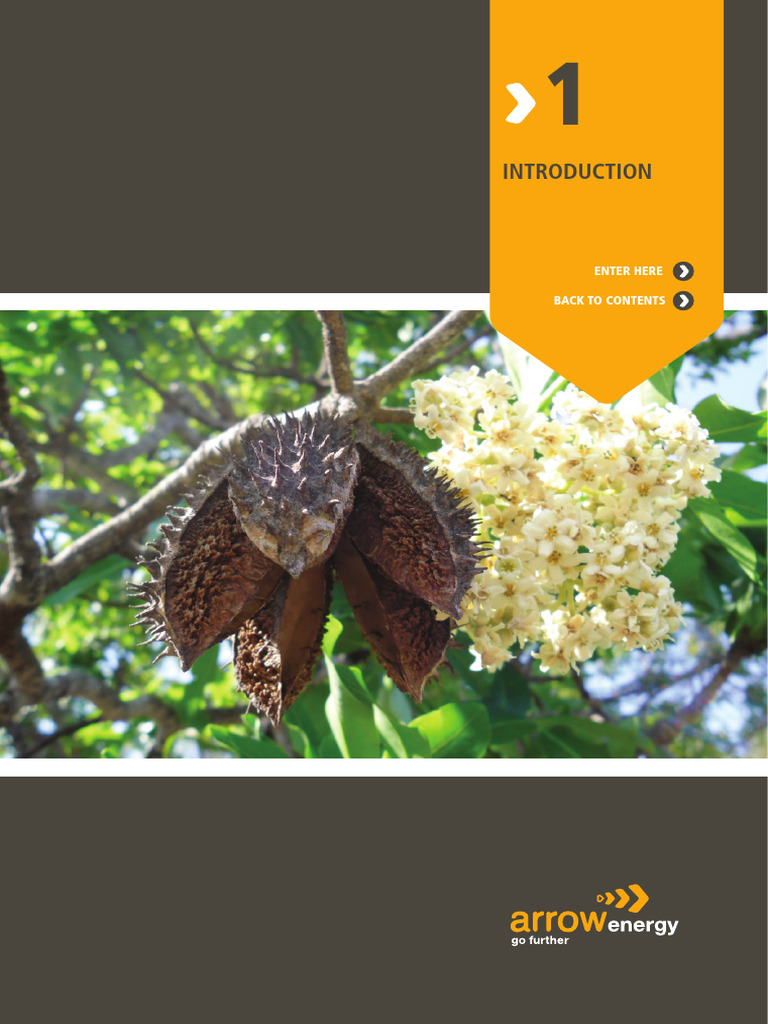 Section_01-Introduction | PDF | Natural Gas | Liquefied Natural Gas