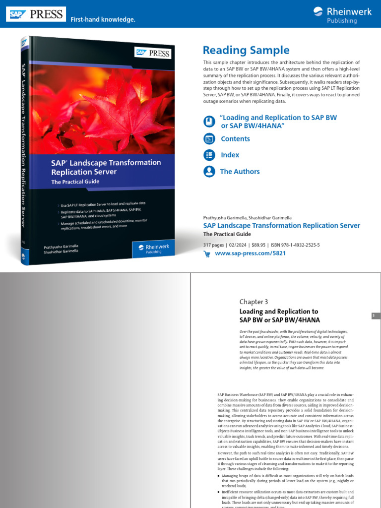 SAP LANDscape Transformation | PDF | Replication (Computing) | Analytics