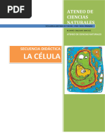 Secuencia Didáctica: La Célula 6to Grado | PDF | Biología Celular ...
