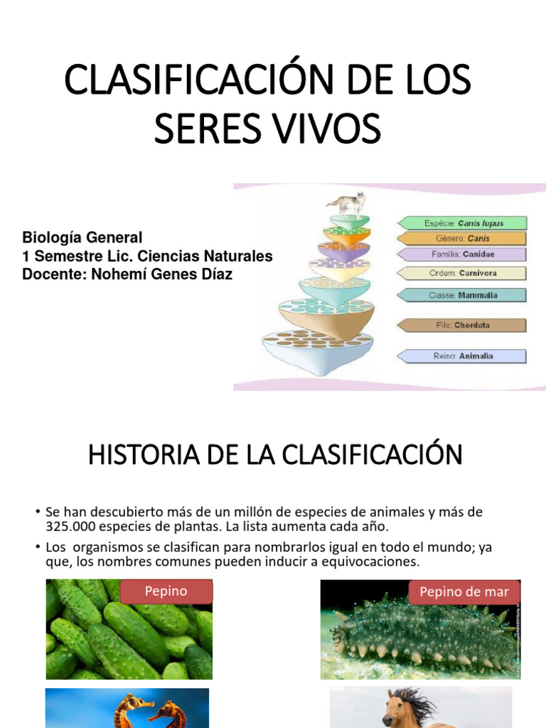 Clasificacion de los seres vivos | PDF | Taxonomía (biología ...