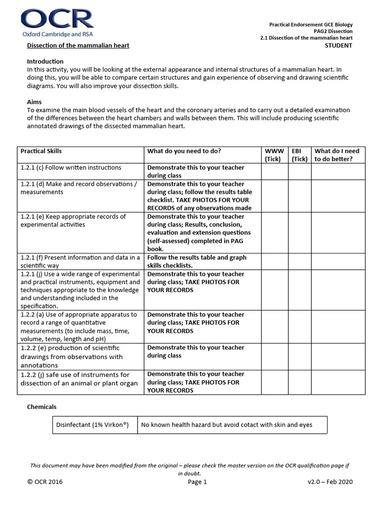 Copy - of - 5 - PAG 2.1 Student Dissection of The Mammalian Heart | PDF ...