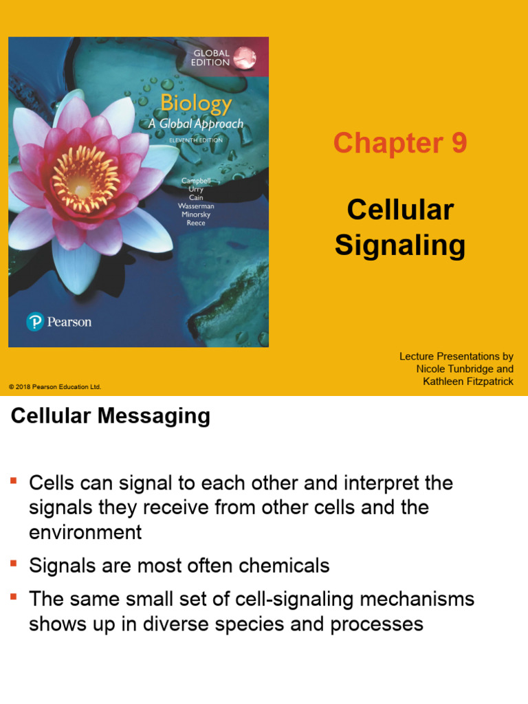 Week 4 Cell Signaling | PDF | Cell Signaling | Signal Transduction