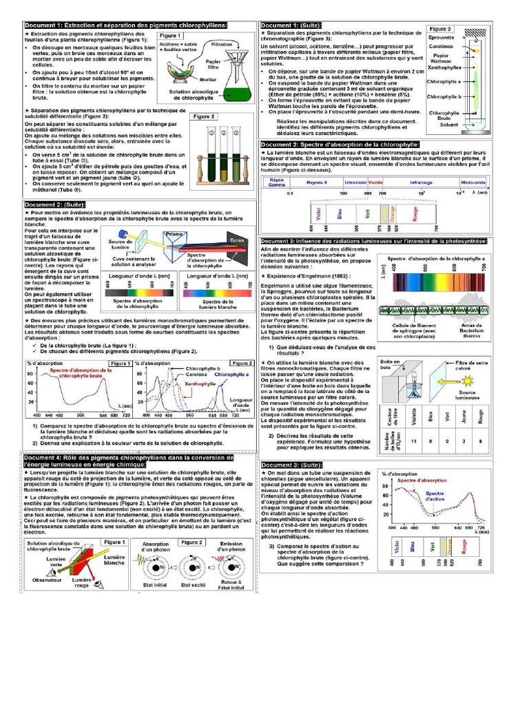 1BAC | PDF
