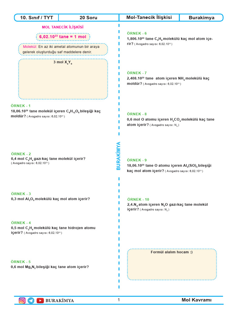 Mol Tanecik İlişkisi 20 Soru | PDF