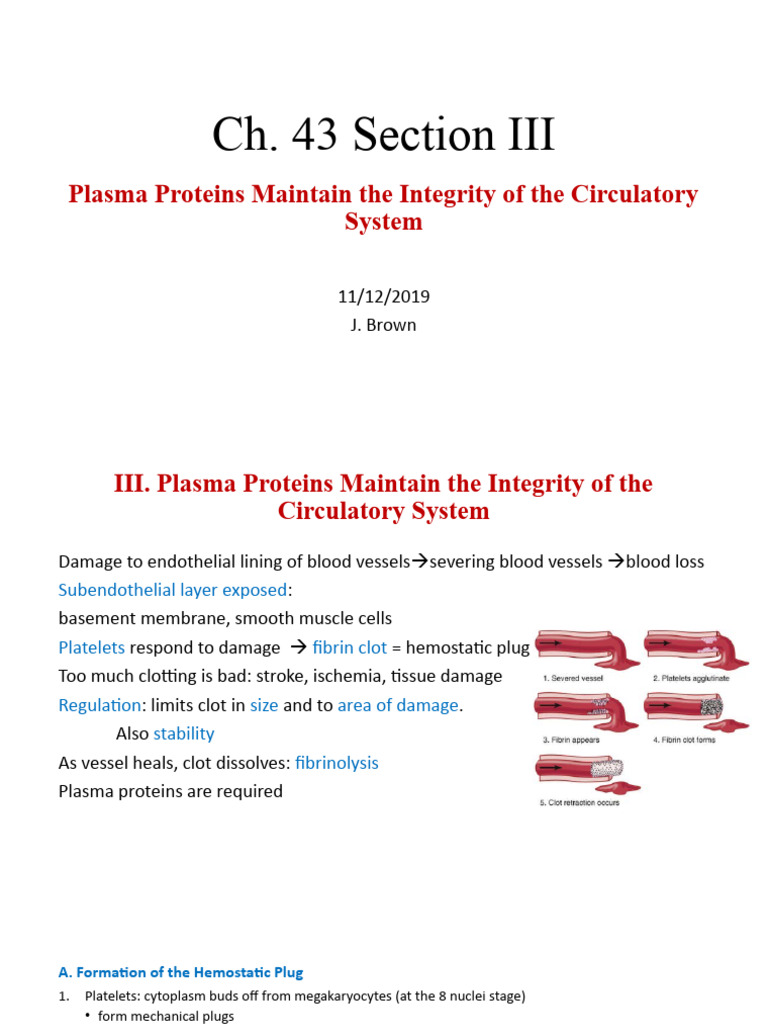 Plasma Proteins in Blood Clotting | PDF | Coagulation | Platelet