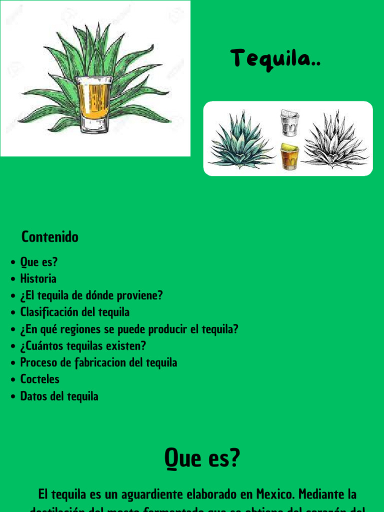 Tequila | PDF | Bebidas alcohólicas | Bebidas Fermentadas