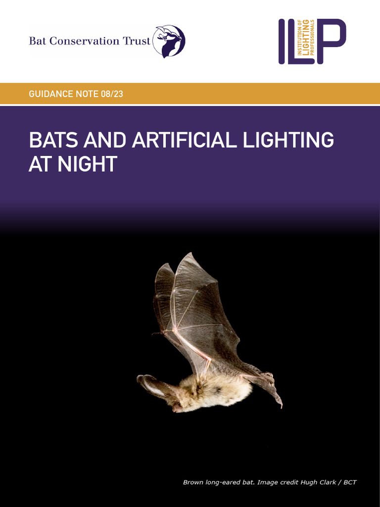 Ilp GN08 Final 1 | PDF | Bat | Birds