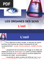 Anatomie du Corps Géniculé Latéral | PDF | Système visuel | Vision