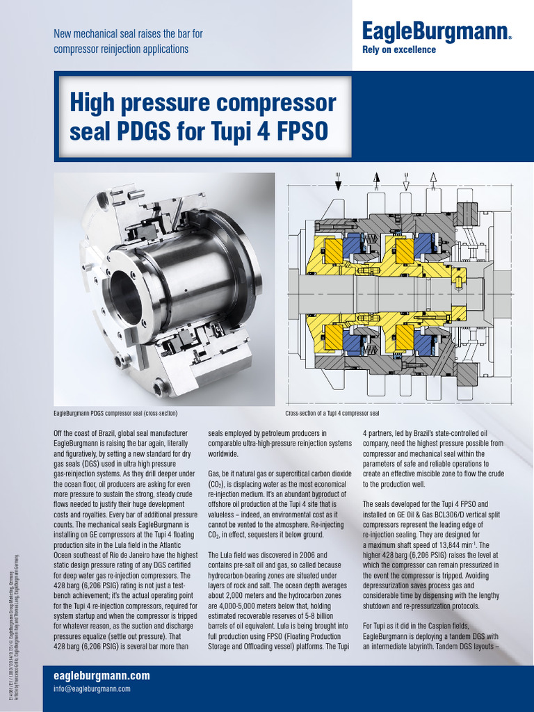 High Pressure Compressor Seal PDGS For Tupi 4 FPSO | Download Free PDF ...