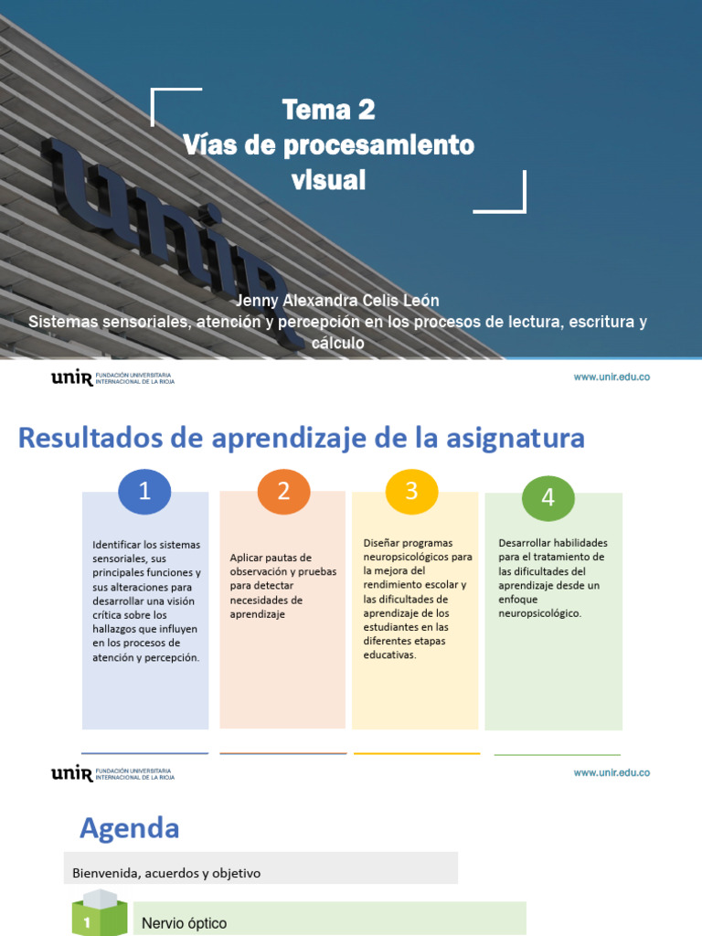 PPT SESIÓN 2 TEMA 2 | PDF | Percepción visual | Sistema visual