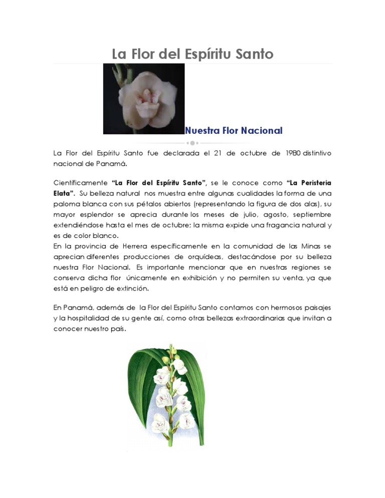 La Flor Del Espíritu Santo | PDF | Plantas | Belleza