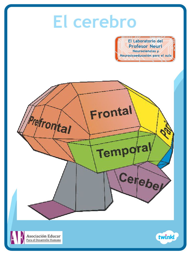 es-sc-397-modelo-de-papel-cerebro-el-profesor-neuri_ver_3 | PDF