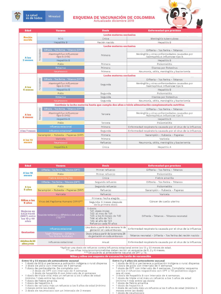 Ficha Esquema Vacunacion Vf2 | PDF