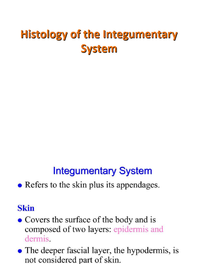 1.integumentary System - Histology | PDF | Skin | Integumentary System