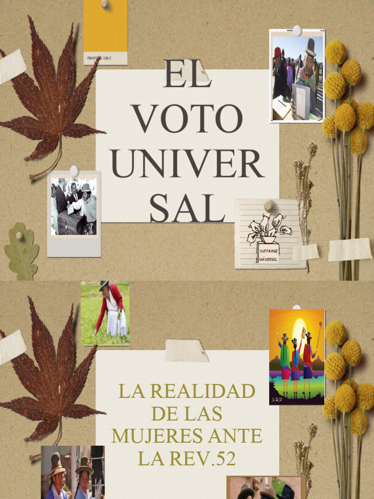 El Voto Universal | PDF | Gobierno | Ciencias Políticas