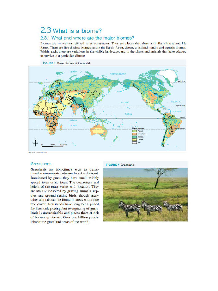 Grasslands JacPlus Info | PDF