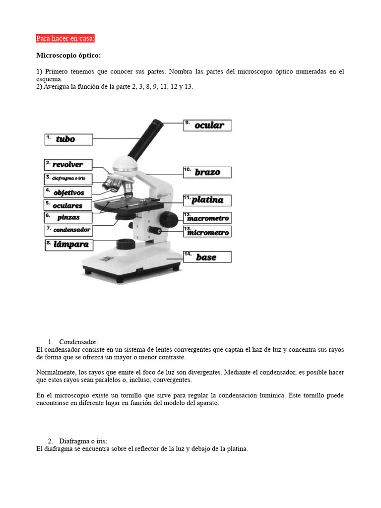 Tarea Microscopio Optico 2 | PDF | Microscopio | Óptica