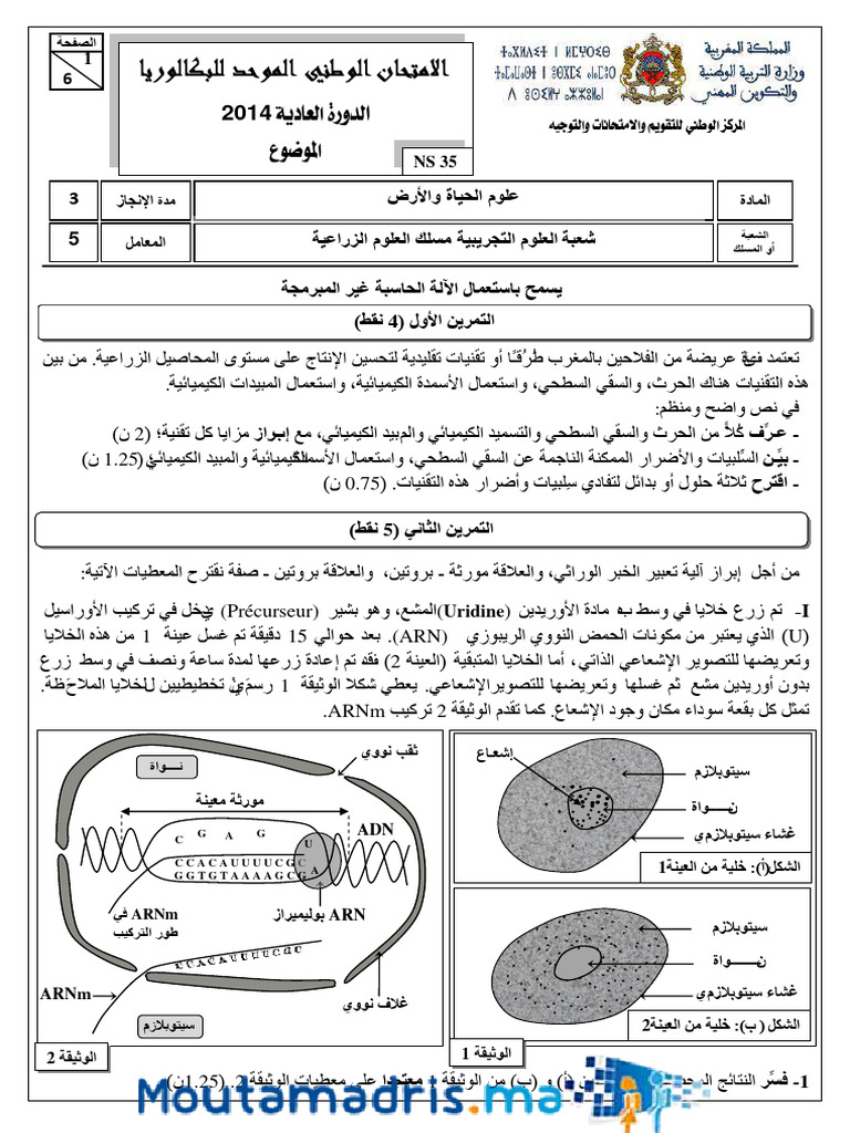 Examens National 2bac Sa SVT 2014 N | PDF